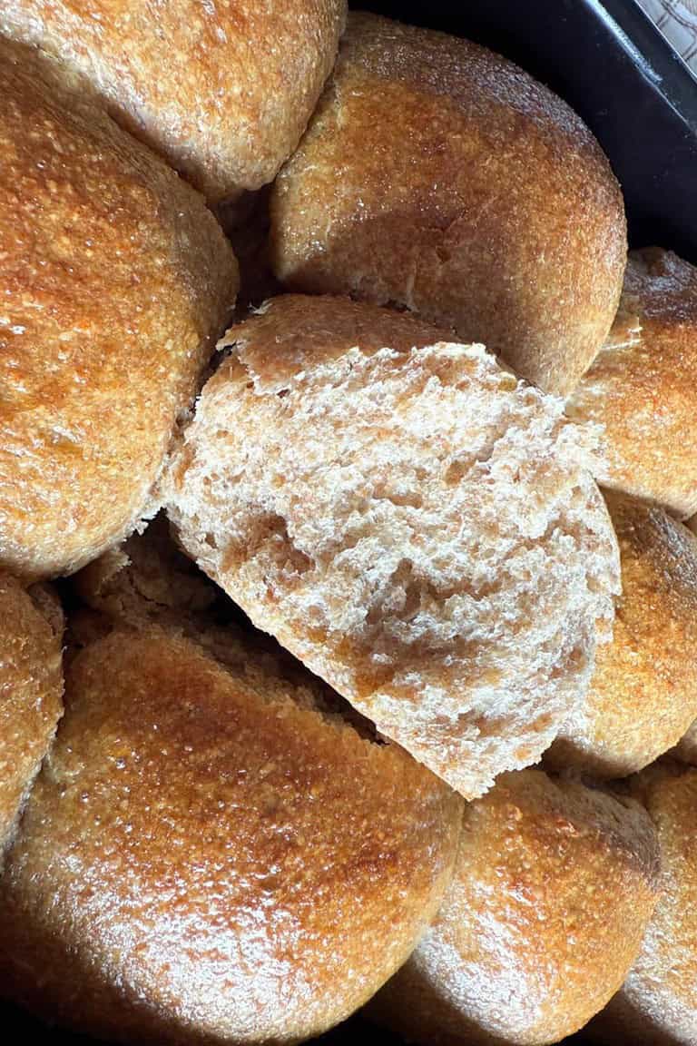 Soft Sourdough Dinner Rolls with Fresh-Milled Flour (Easy & Fluffy ...